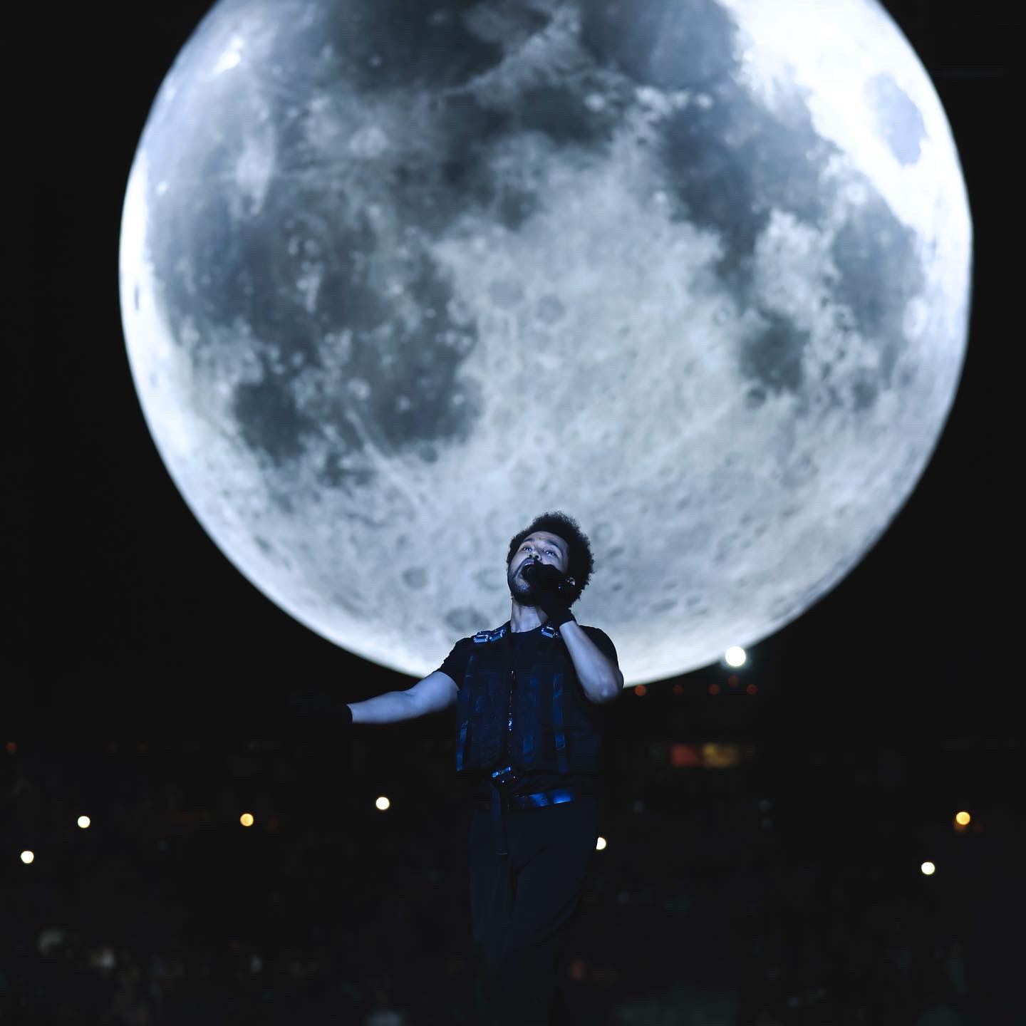 Shire looks to 'embrace' new timber opportunities - ABC News