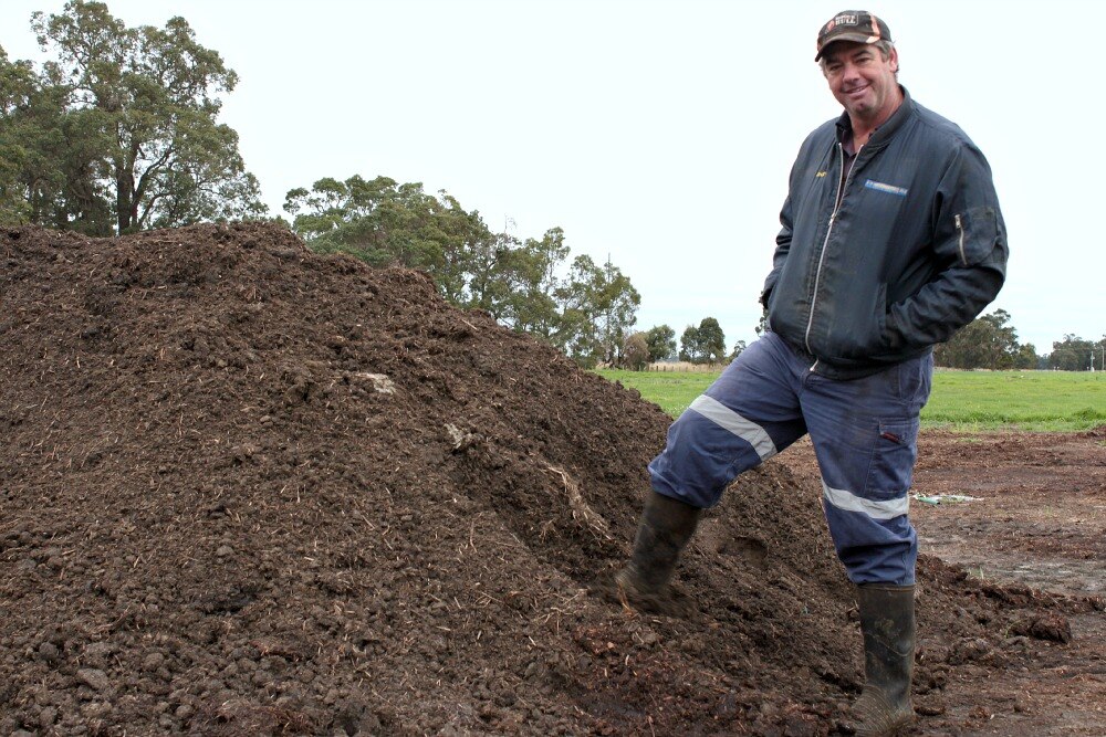 Compost on the menu as dairy industry pushes sustainable ‘recipe’ - ABC ...