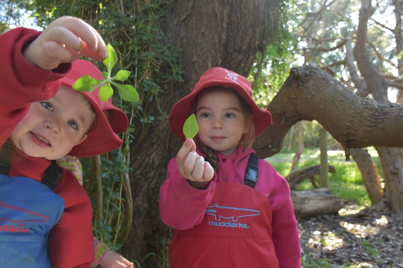 Reconciliation efforts on Boon Wurrung land bring language, culture and ...