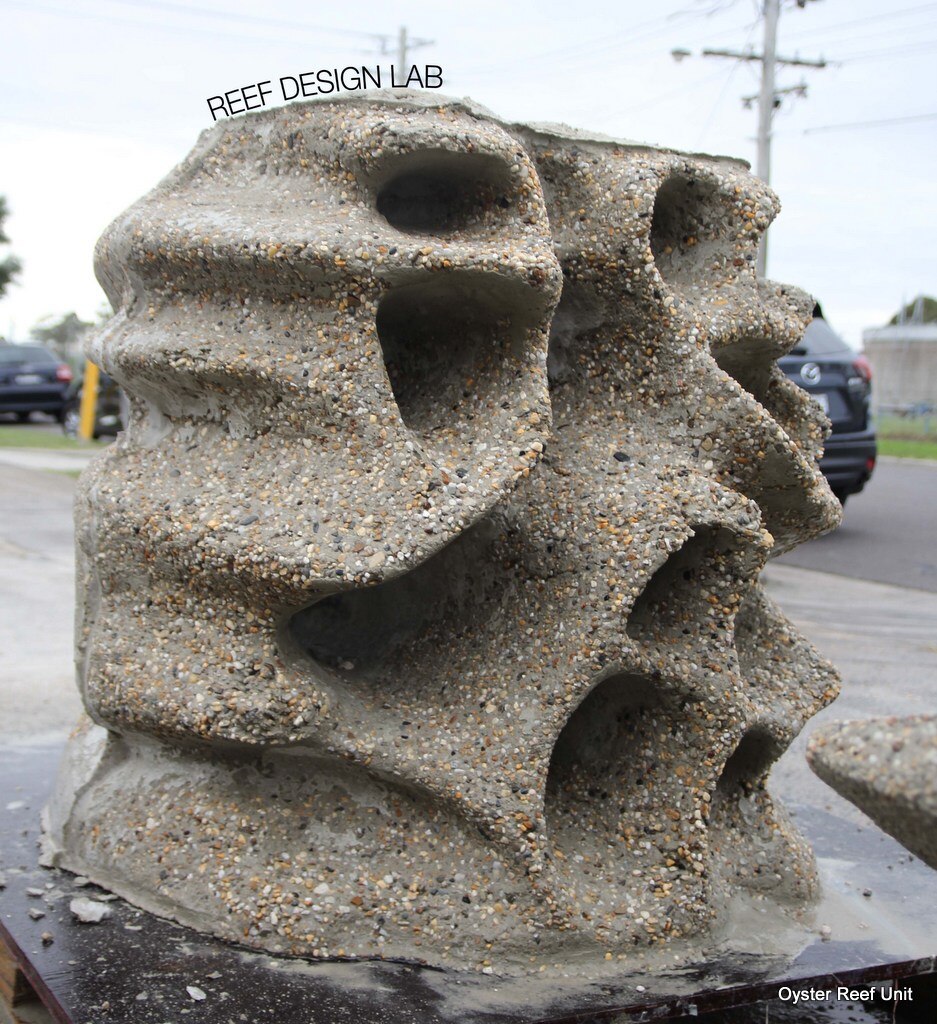 Sydney Opera House to host 'apartment blocks' for marine life by using ...