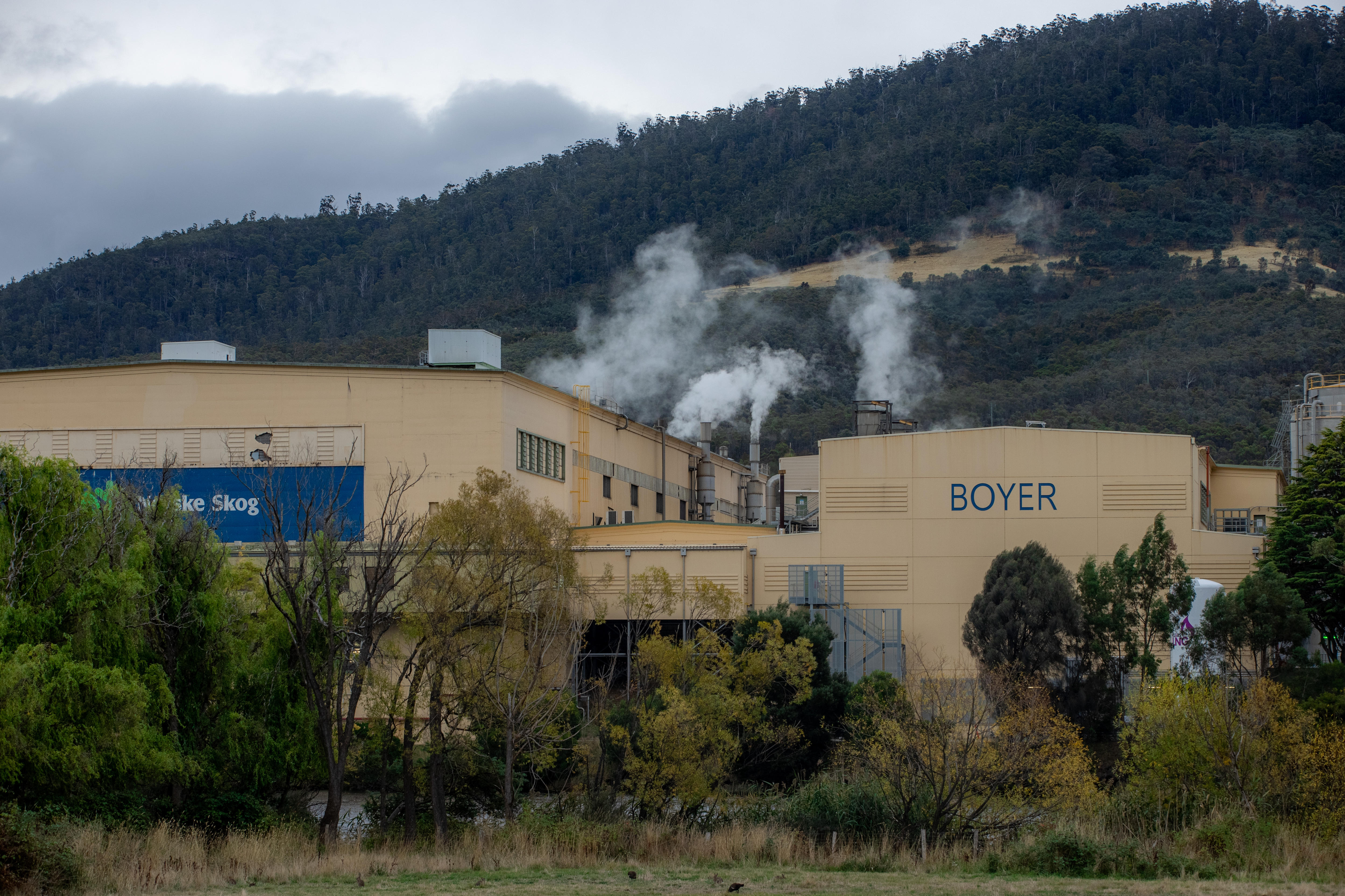 Federal Labor makes $24 million Boyer Paper Mill funding pledge to help ...