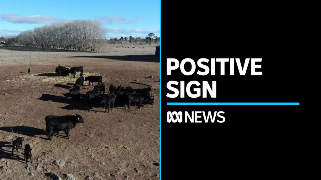 Virtual Songlines Warrane (Sydney Cove) - ABC News