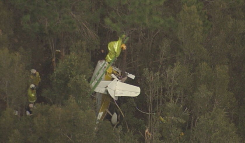 Man escapes injury after light plane crash - ABC News
