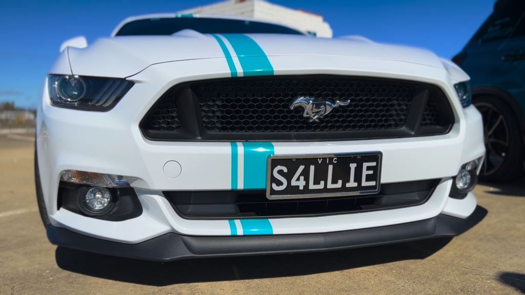 Shepparton's real life Mustang Sallie - ABC News