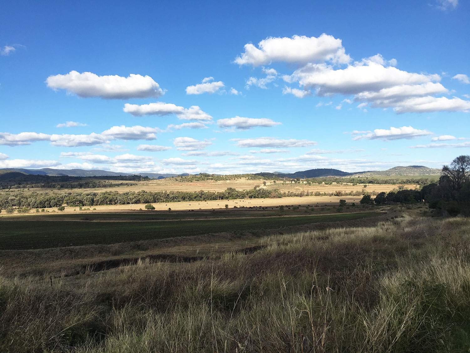 Queensland's $500m Coopers Gap wind farm could be operational by 2020 ...