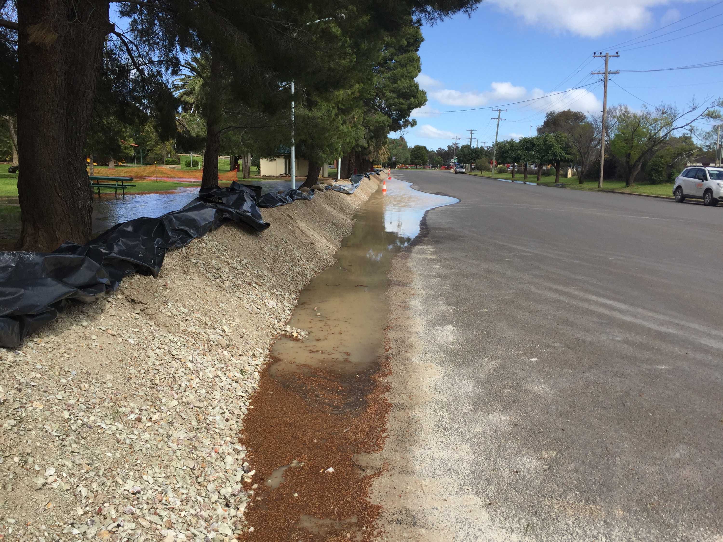NSW severe weather warning issued, damaging winds set to lash state's ...