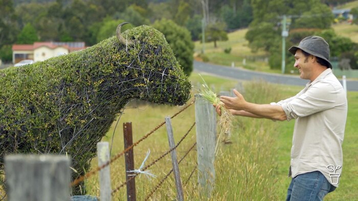 Topiary Town - Gardening Australia