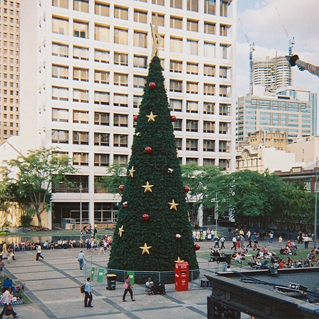 In photos: Brisbane's ever-changing Christmas tree continues to draw ...