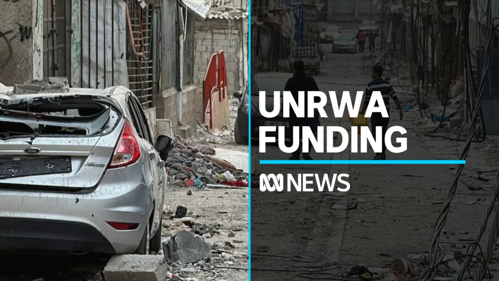 NGO's send letter calling for immediate reinstatement of UNRWA funding ...