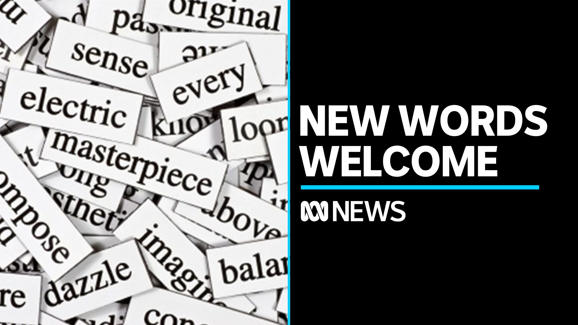 Macquarie Dictionary welcomes 3000 new words - ABC News