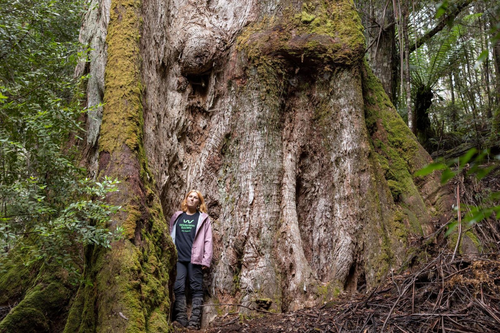 Tasmania Mornings with Leon Compton - ABC listen