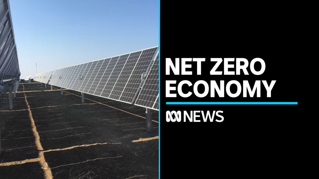 Calls for workers to be retrained for net zero economy - ABC News