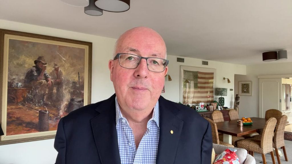 Peter Ryan on Telstra's job cuts - ABC News