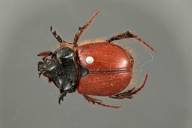 What's in a name? - ABC listen