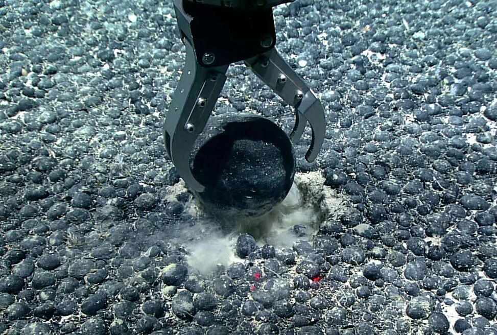 The Science Show with Robyn Williams - ABC listen