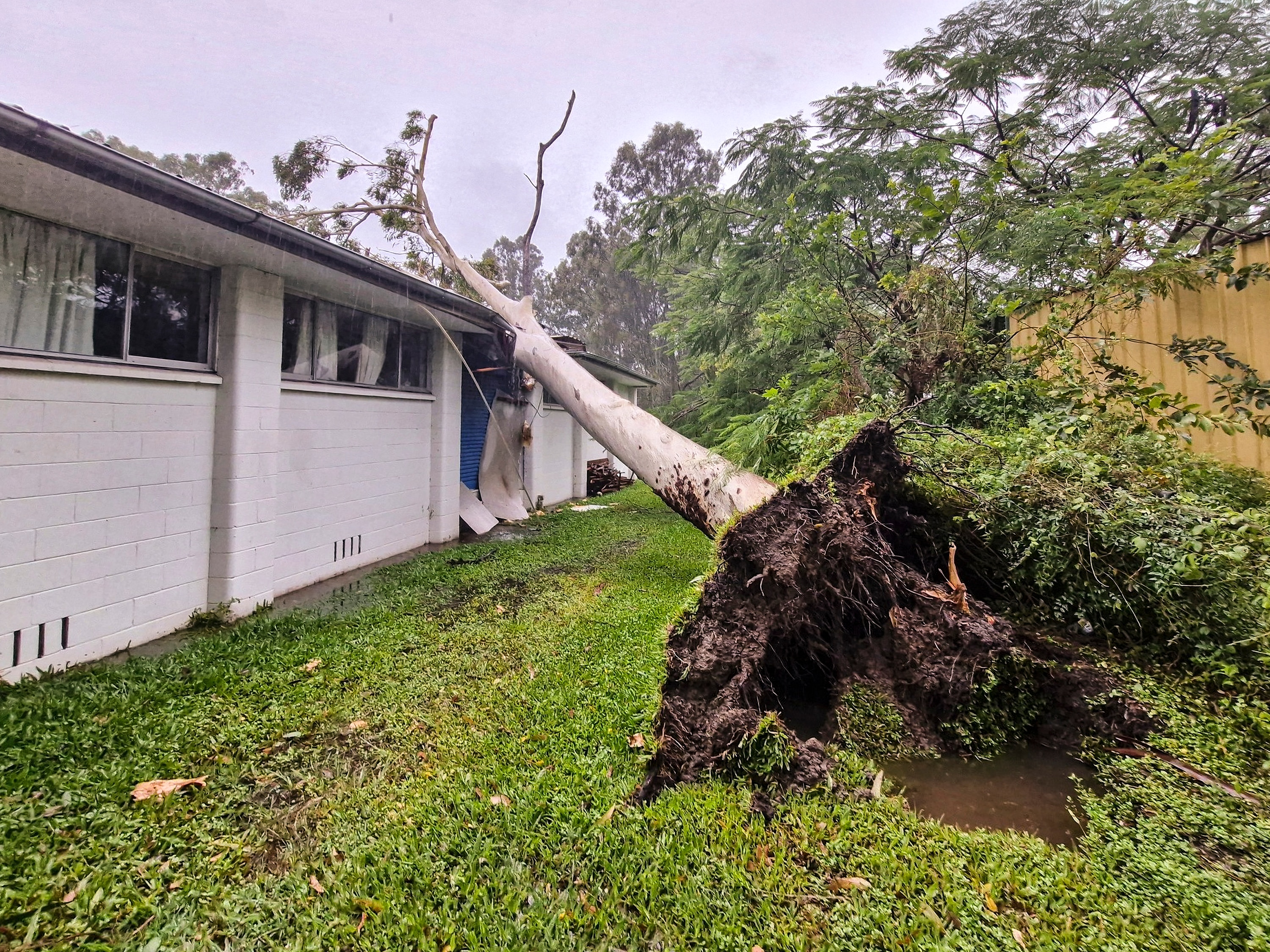 Australia faces more severe tropical cyclones despite 'average' season ...