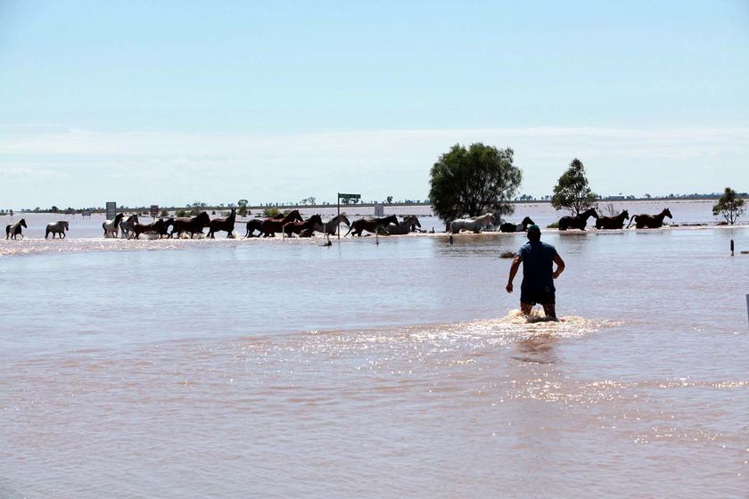 Flood clean-up begins at Coonamble - ABC News