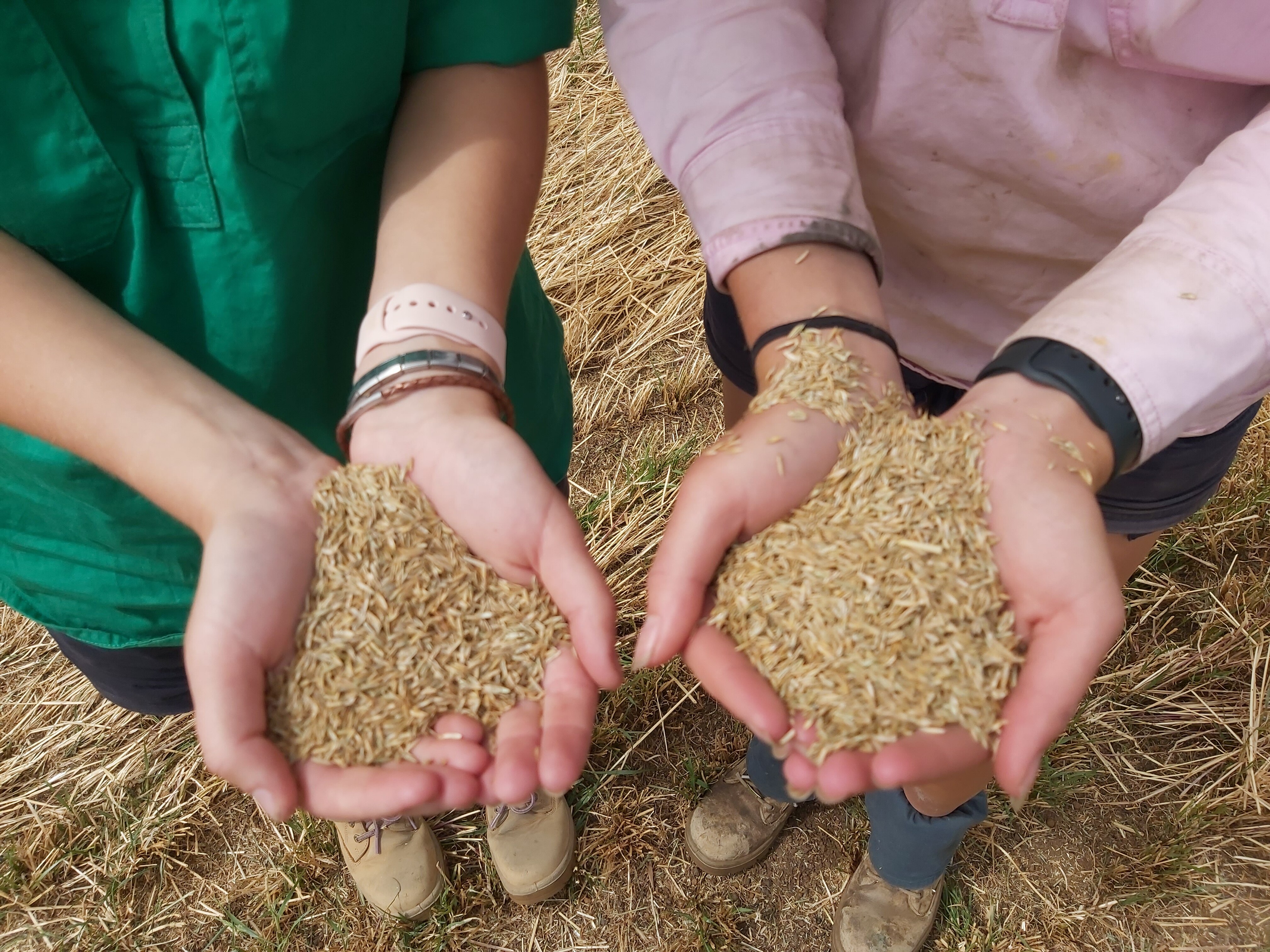 Women sharing the load in agriculture as Tasmania experiences hectic ...