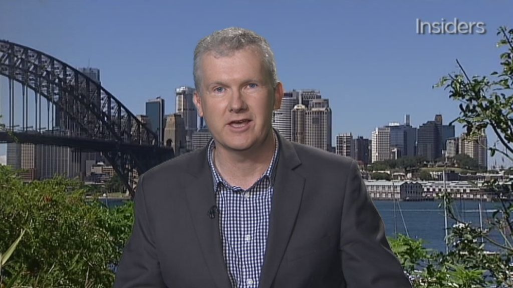 Tony Burke joins Insiders - ABC News