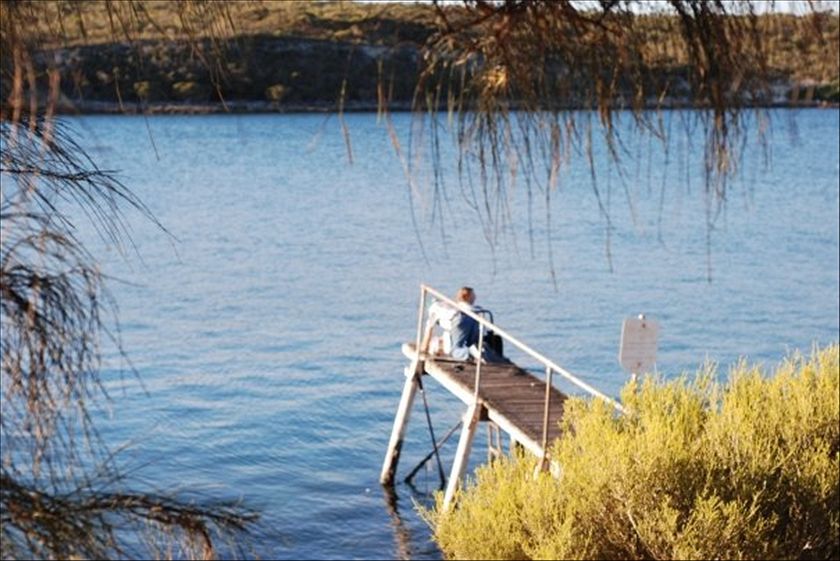 Locks Well prawn toast - ABC Everyday