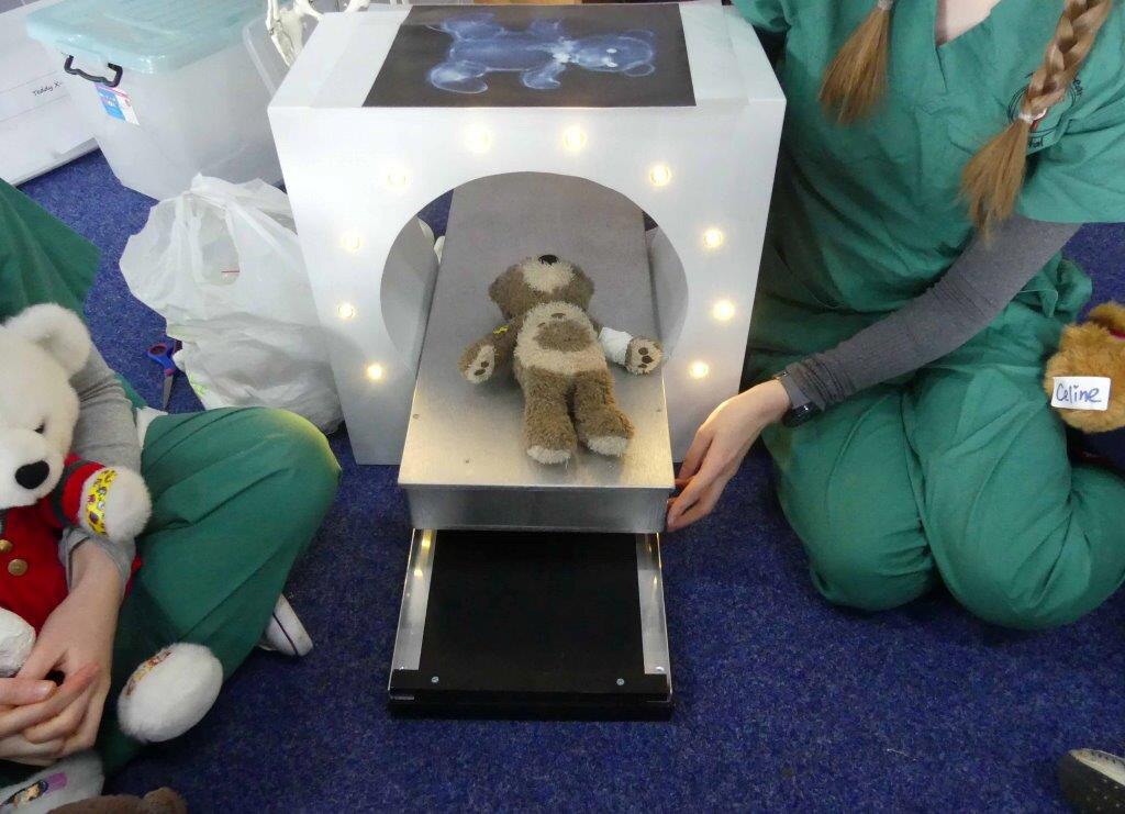 Prognosis for Tasmania's school Teddy Bear Hospital looks good as ...
