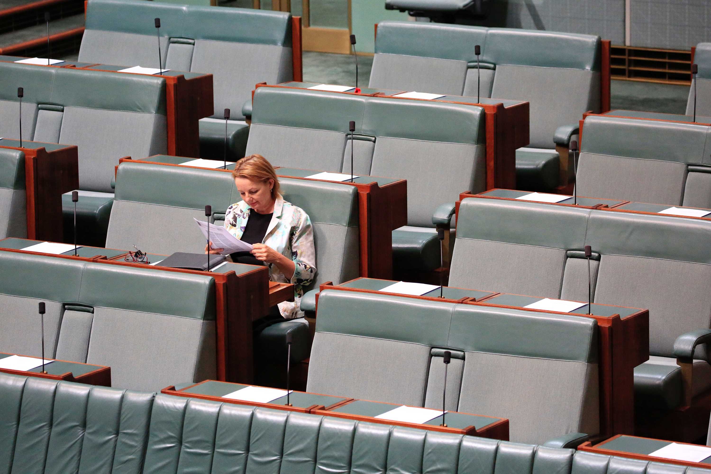 Sussan Ley wants public to 'draw their own conclusions' about her ...