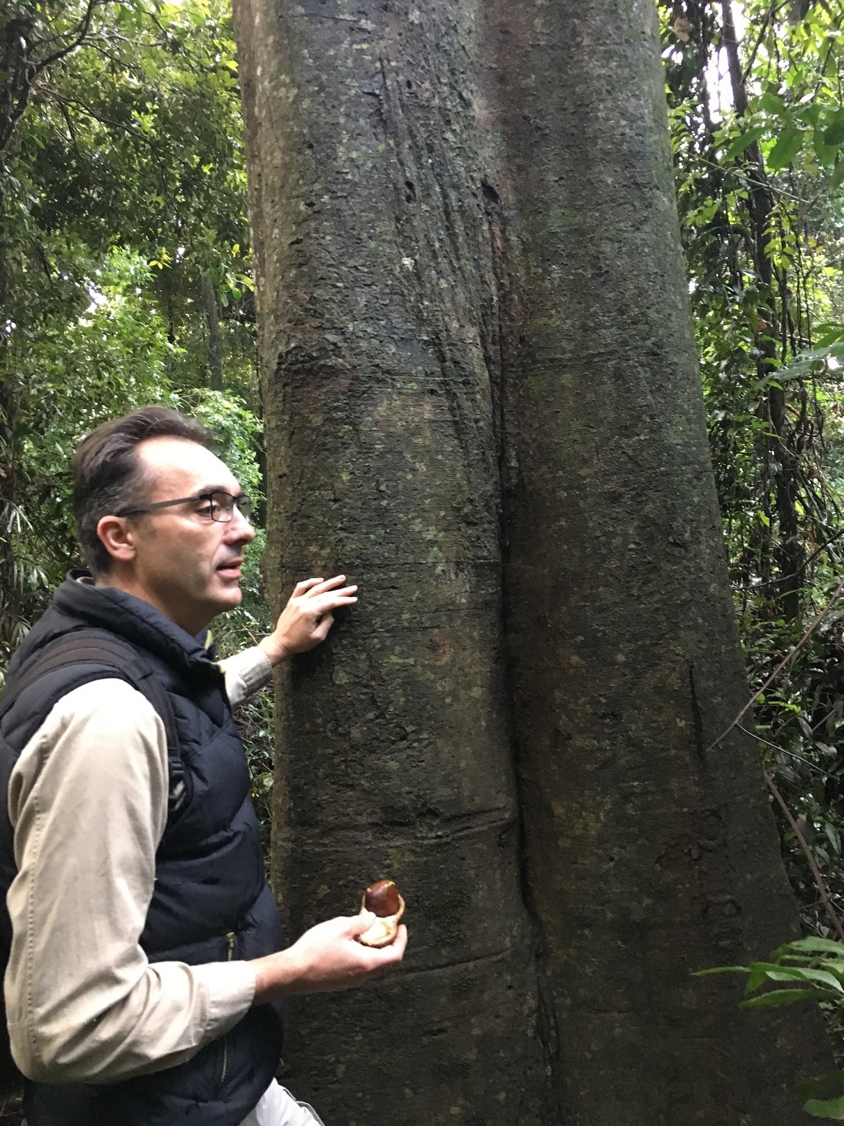 Aboriginal people spread native plants by hand, new study finds - ABC News