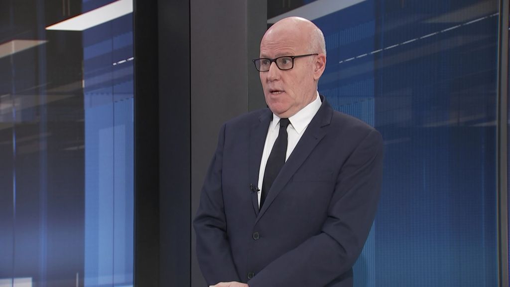 Analyst says the US must look at society behind Trump phenomenon - ABC News