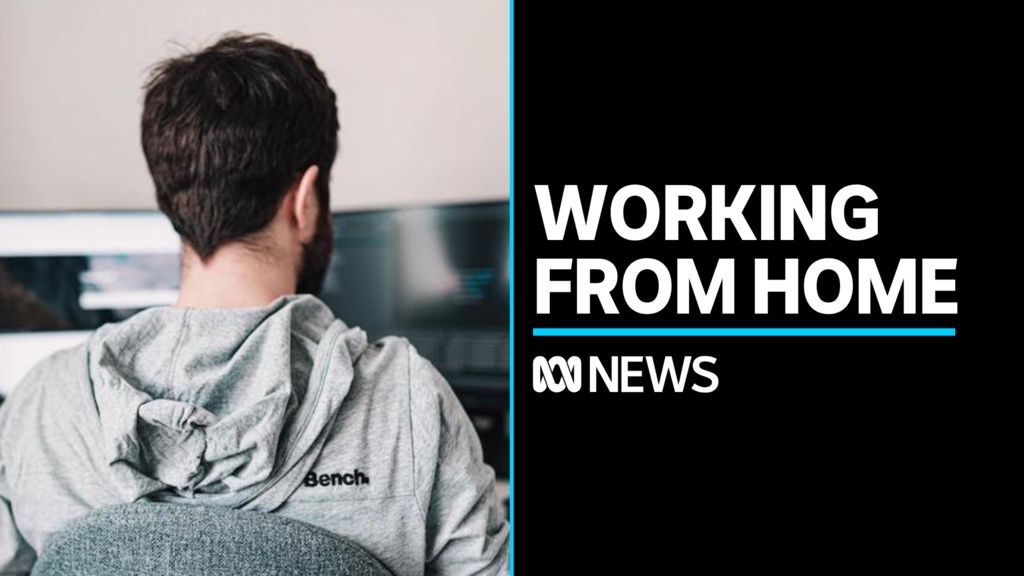 Big companies find working from home 'more efficient' - ABC News