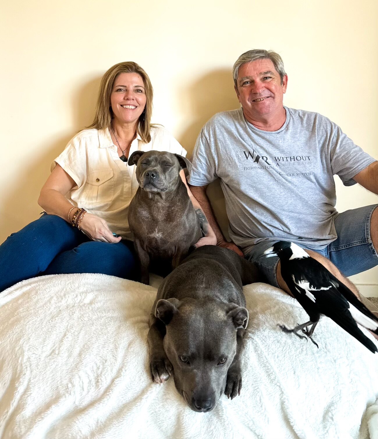 Molly the magpie's first 24 hours at home with her canine and human ...