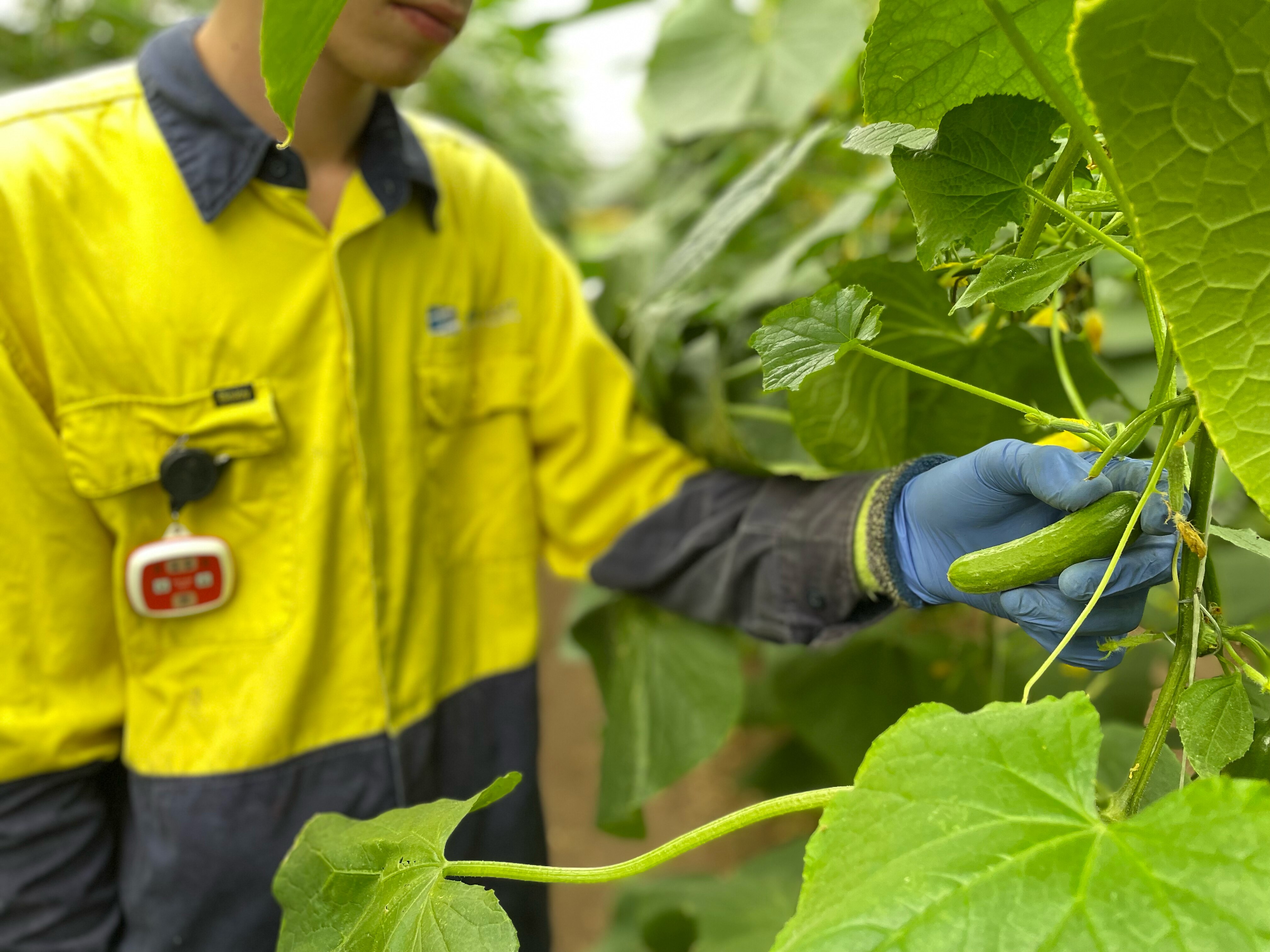Harvest gets smart as farmers turn to digital trackers to boost yield ...