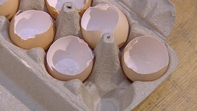 VIEWER TIP: Eggshell Seed Pots - Gardening Australia