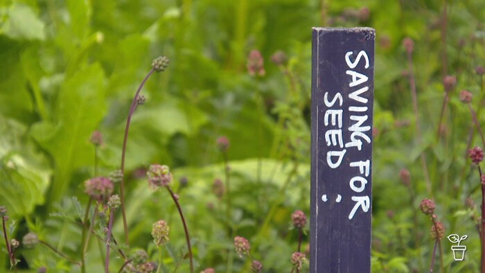 Seeds 4 Free - Gardening Australia
