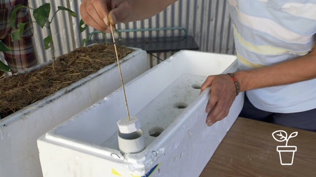 Quick Wicking - Gardening Australia