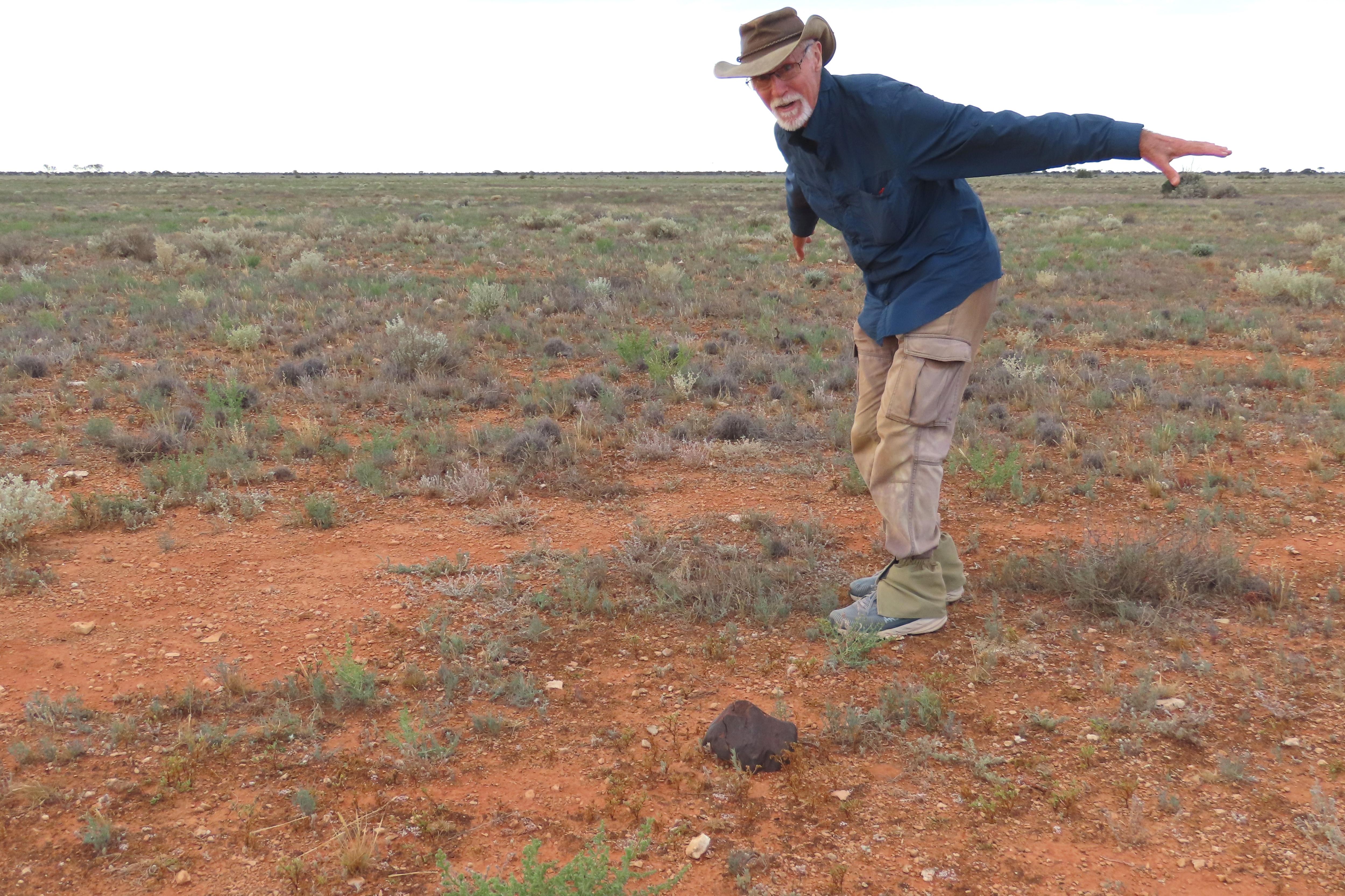 Meteorite hunter Robert Towers honoured for museum donations says ...