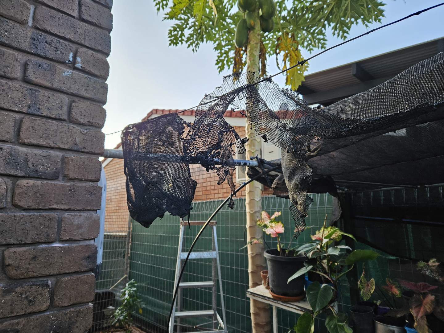 NT WorkSafe issues safety warning after jump in fires from DC isolators ...