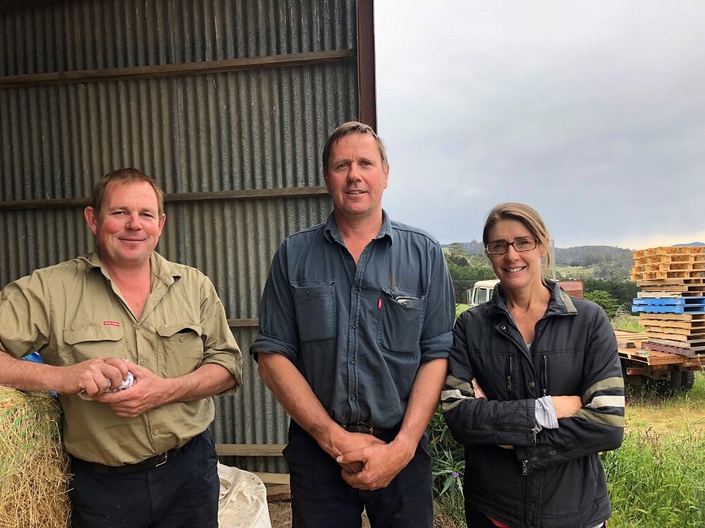 Bream Creek Dairy takes on the discount supermarket milk - ABC listen