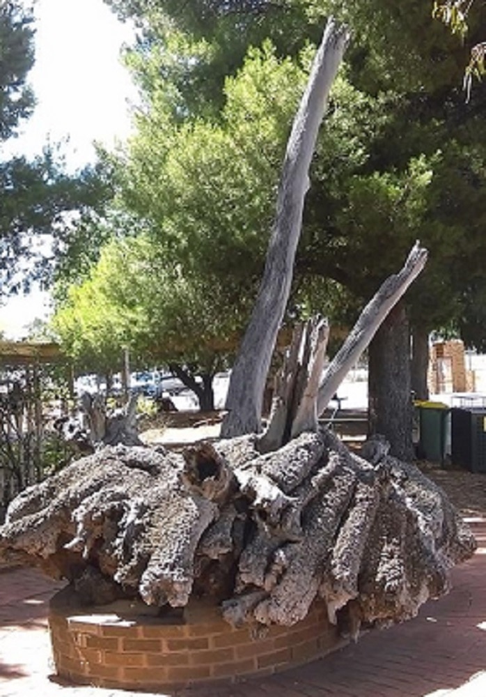 Ouyen or Tooleybuc? World record body's scrutiny to decide Australia's ...