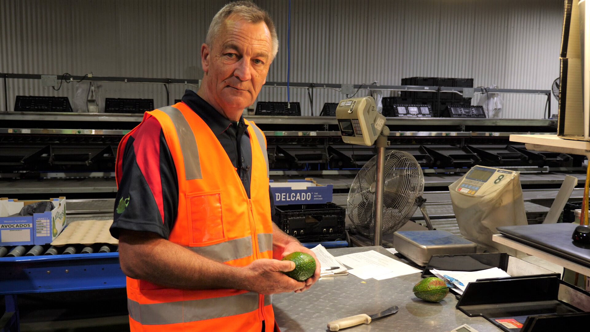 Labour supply issues, oversupply of produce leads to 'difficult ...