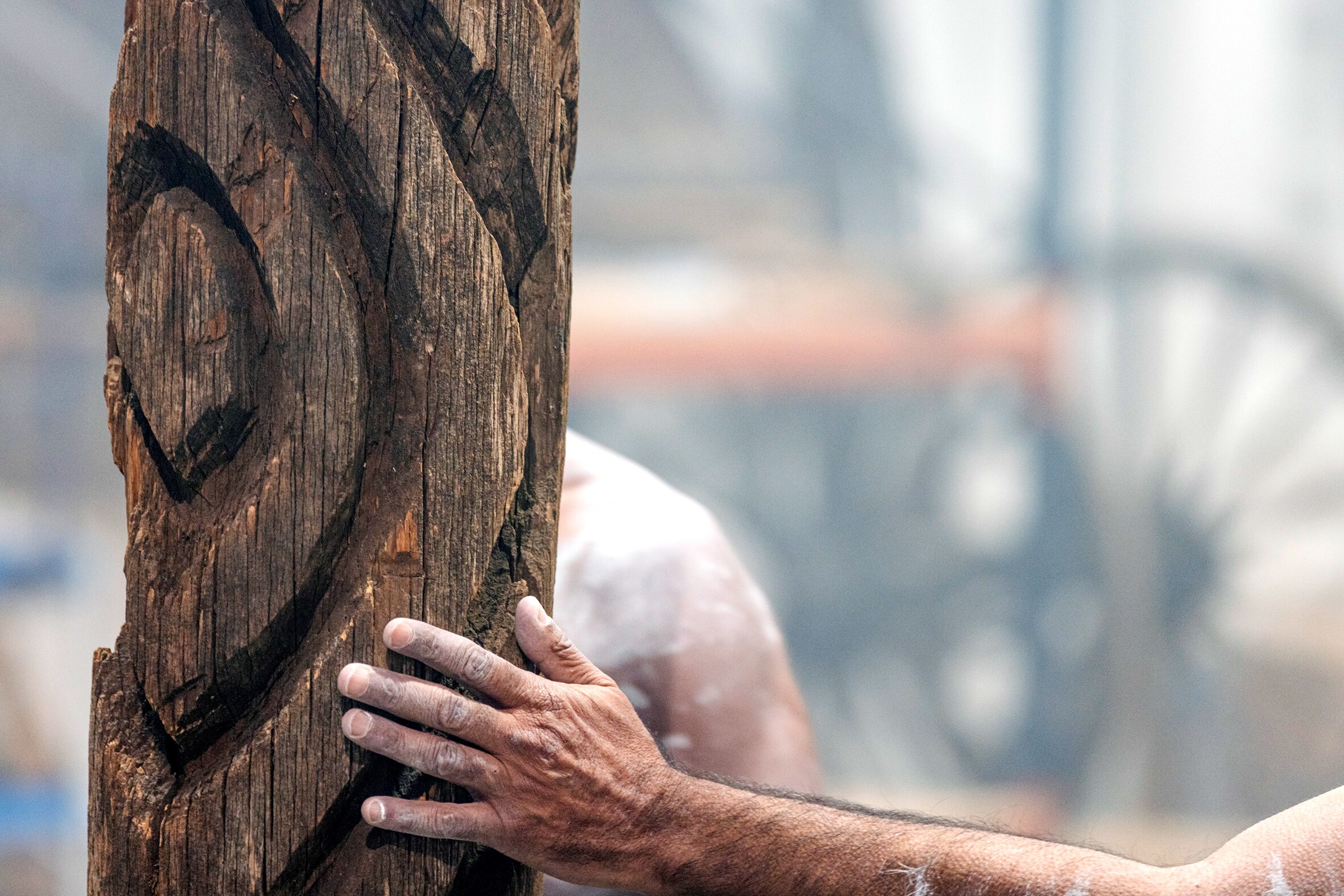 Gamilaraay sacred tree returned to Australia after eight decades in ...