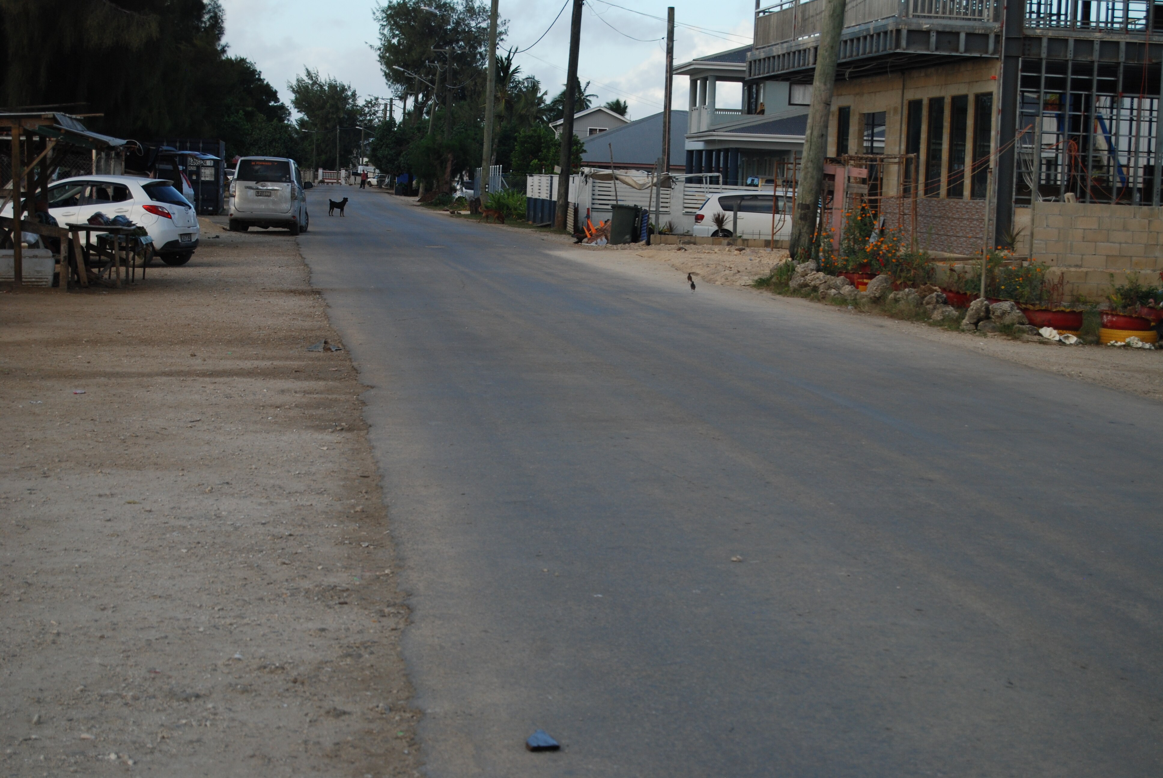 Tongan community members are still recovering nearly three years after ...