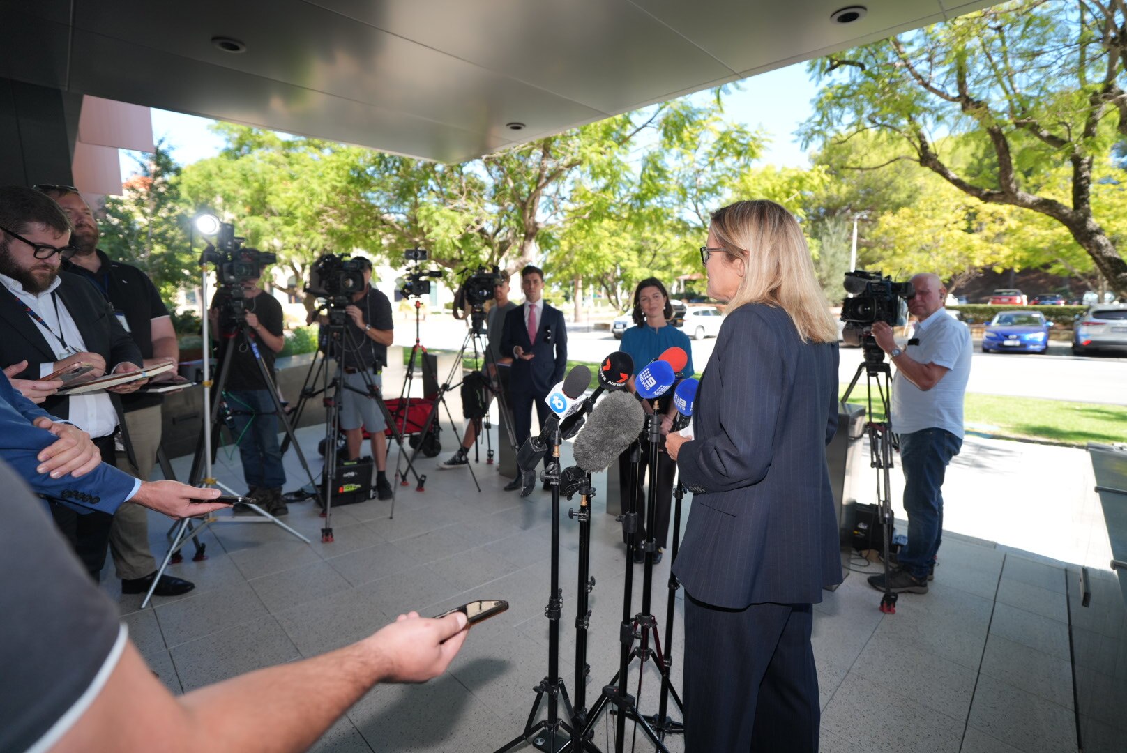 Libby Mettam quits as WA Liberal leader, Basil Zempilas to run - ABC News