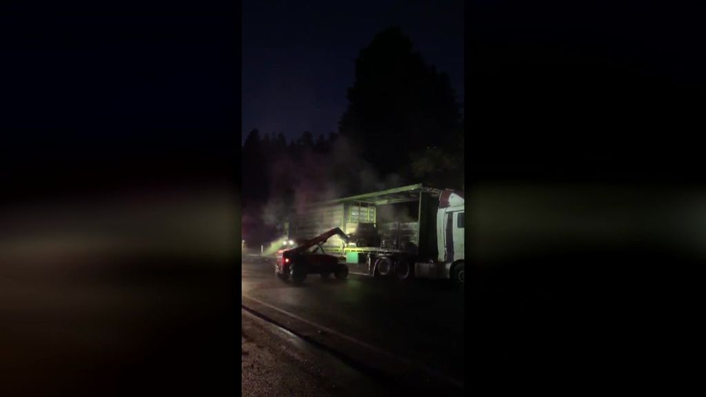 Live chickens removed from burning truck in SA - ABC News