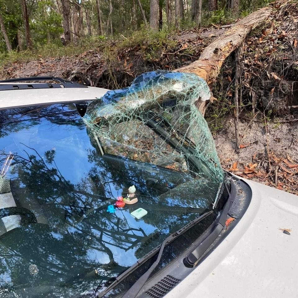 Red Frogs volunteers assist after tree branch smashes through schoolies ...