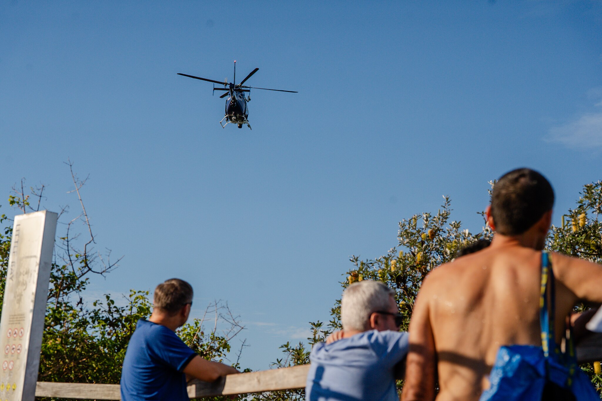 The 10 most popular recipes from A Bite to Eat with Alice - ABC News