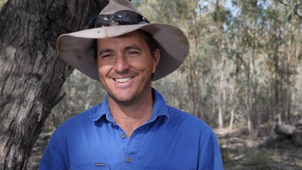 Researchers question soil carbon — a key plank of the new Technology Investment Roadmap - ABC News