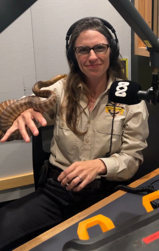 Why one man let deadly snakes bite him 200 times - ABC News
