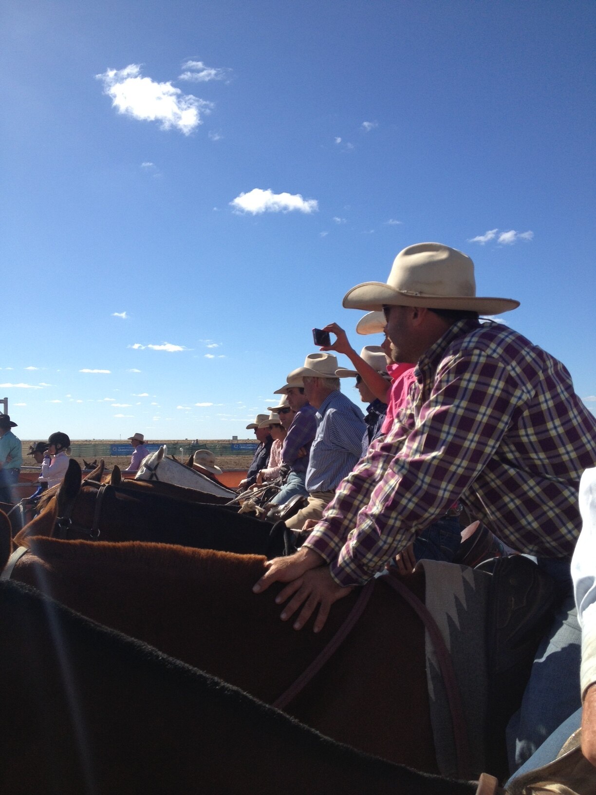 Longreach campdraft well supported - ABC News