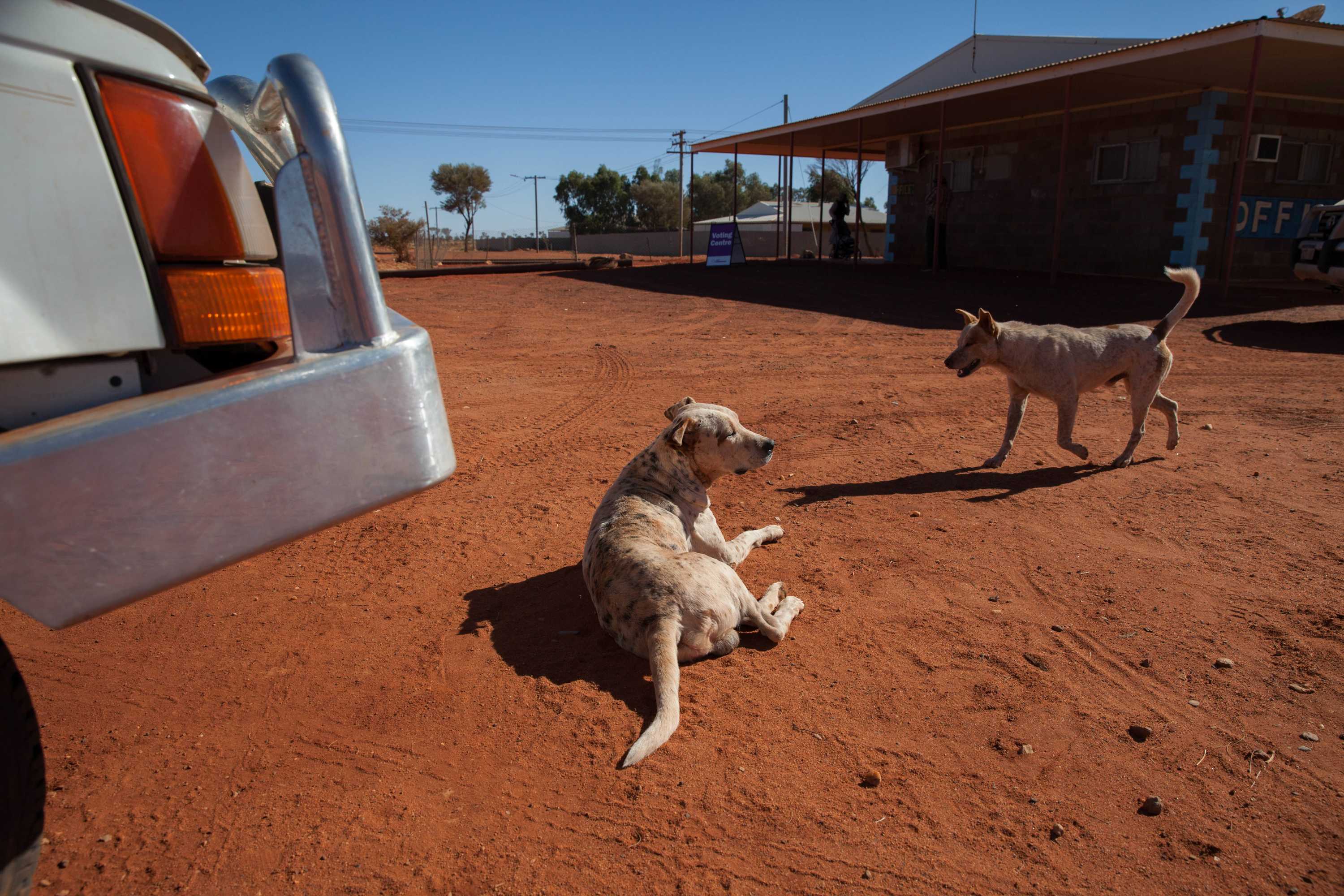 A dozen Aboriginal communities. Thousands of kilometres. 400 votes ...