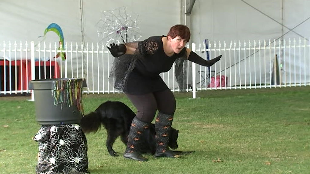 Dancing dogs set sights on Europe - ABC News